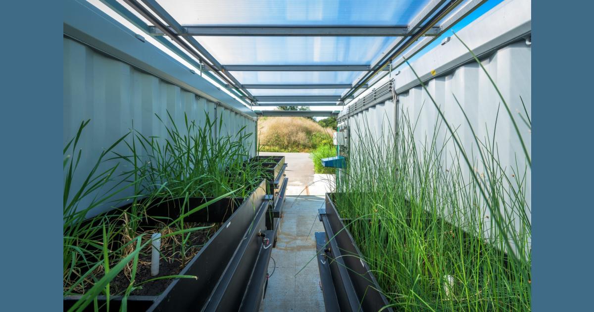 HMVT in de media | WeGroSan/hmvt